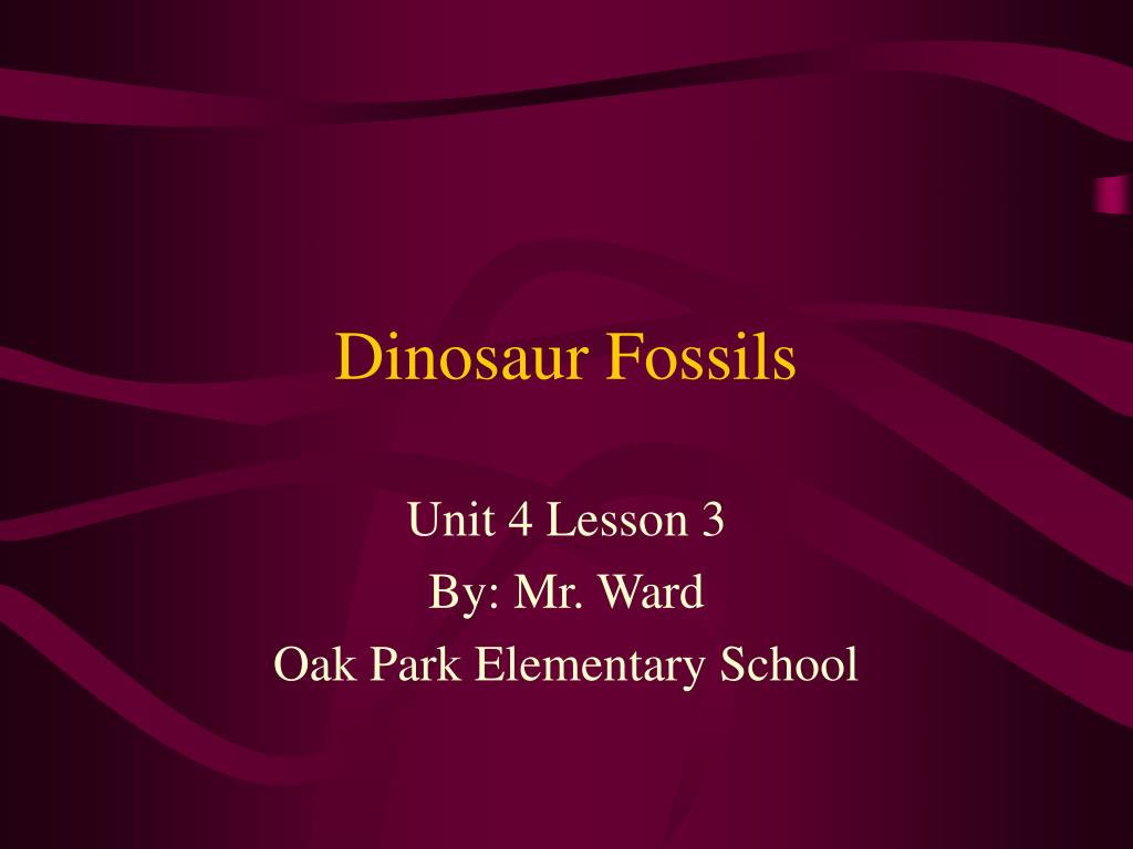 PPT - Dinosaur Fossils PowerPoint Presentation, free download - ID:259910