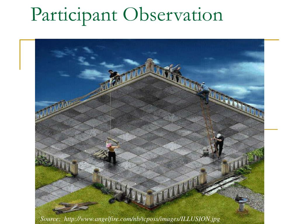 PPT - Participant Observation PowerPoint Presentation, free download ...