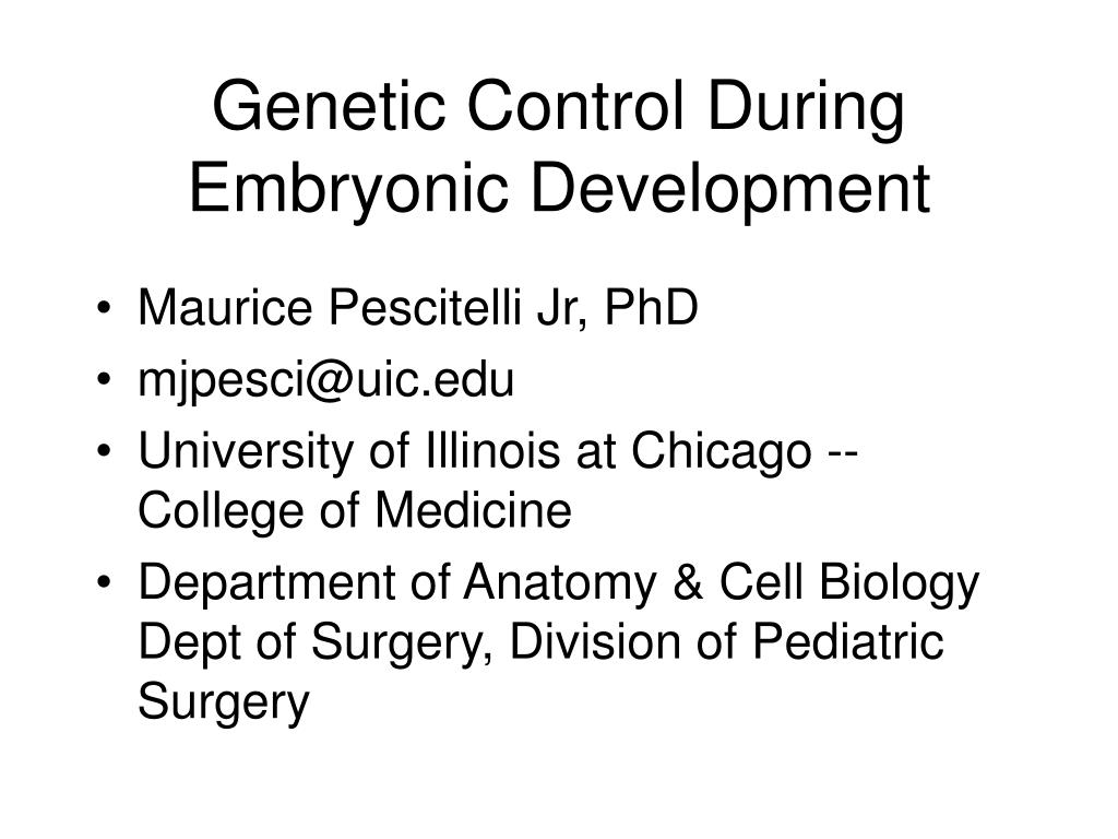 PPT - Genetic Control During Embryonic Development PowerPoint ...