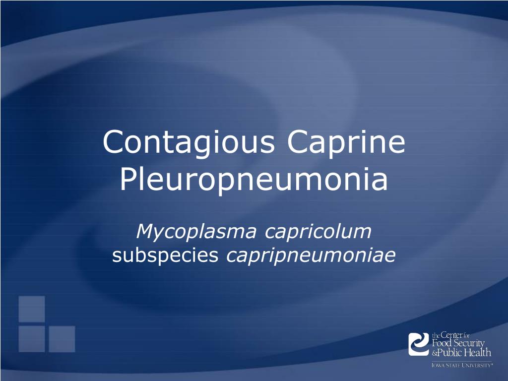 PPT - Contagious Caprine Pleuropneumonia PowerPoint Presentation, free ...