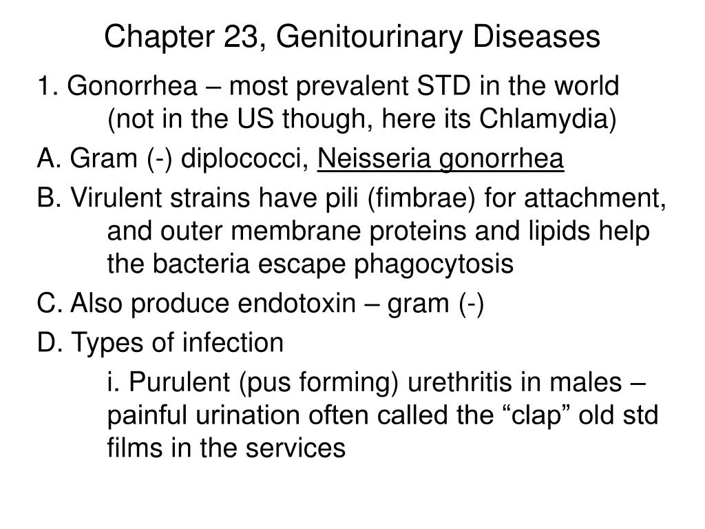 PPT - Chapter 23, Genitourinary Diseases PowerPoint Presentation, free ...