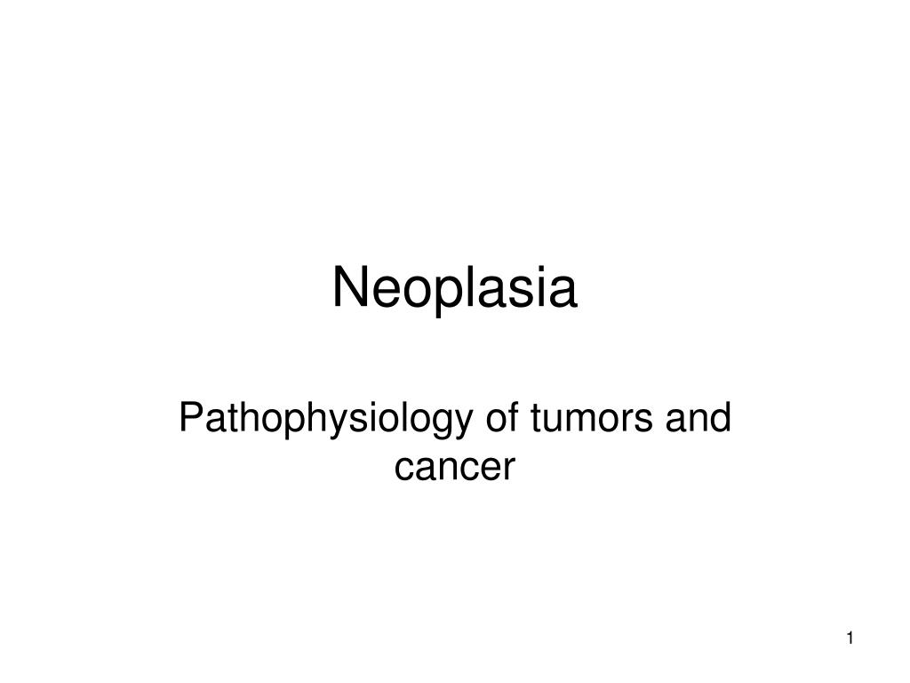 PPT - Neoplasia PowerPoint Presentation, free download - ID:267487
