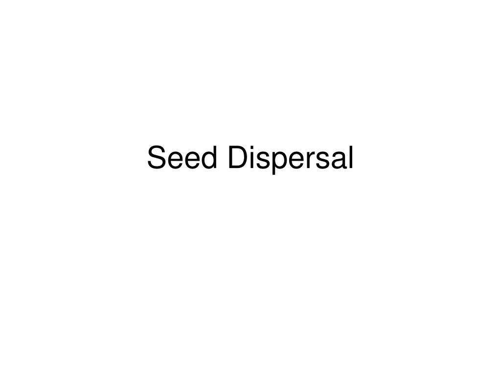 PPT - Seed Dispersal PowerPoint Presentation, free download - ID:267798
