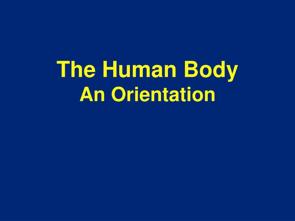 PPT - The Human Body An Orientation PowerPoint Presentation, free ...