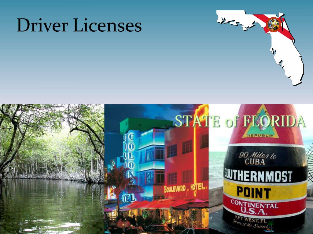 PPT - Driver Licenses PowerPoint Presentation, free download - ID:268796