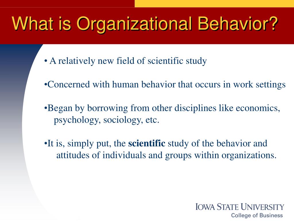PPT - What is Organizational Behavior? PowerPoint Presentation, free ...