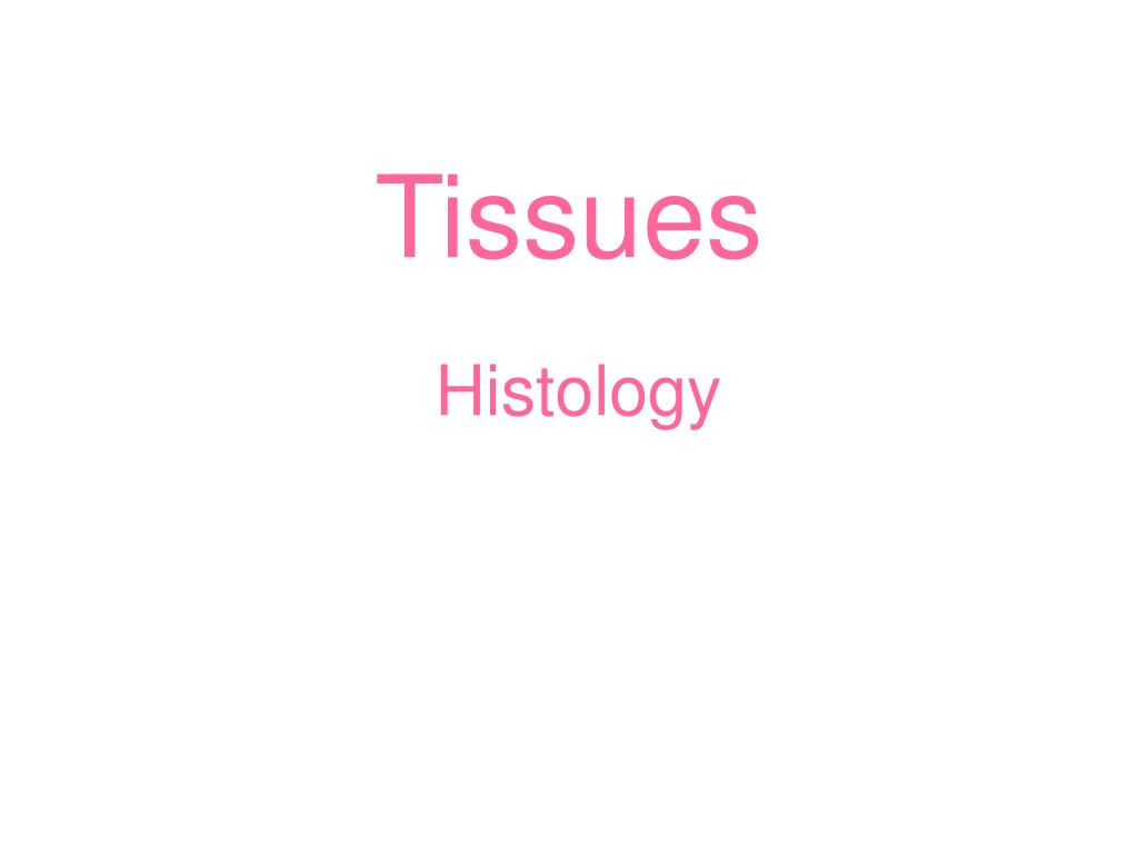 PPT - Tissues PowerPoint Presentation, free download - ID:270398