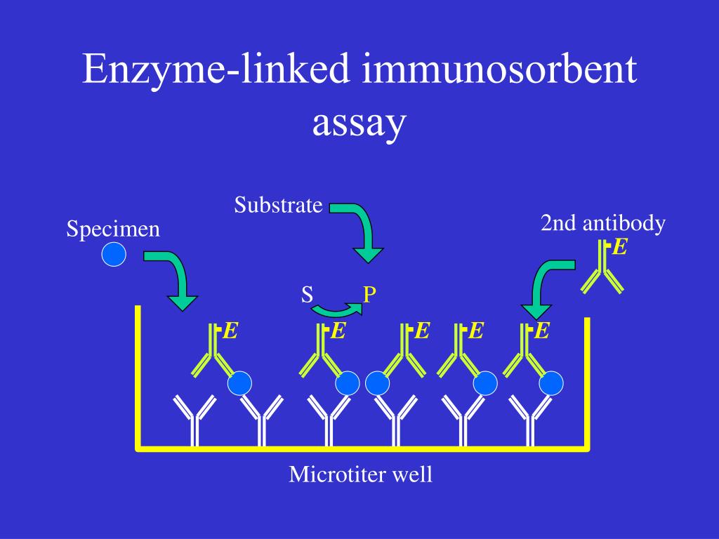 PPT - Enzyme-linked immunosorbent assay PowerPoint Presentation, free ...