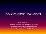 PPT - The Adolescent Brain PowerPoint Presentation, free download - ID ...