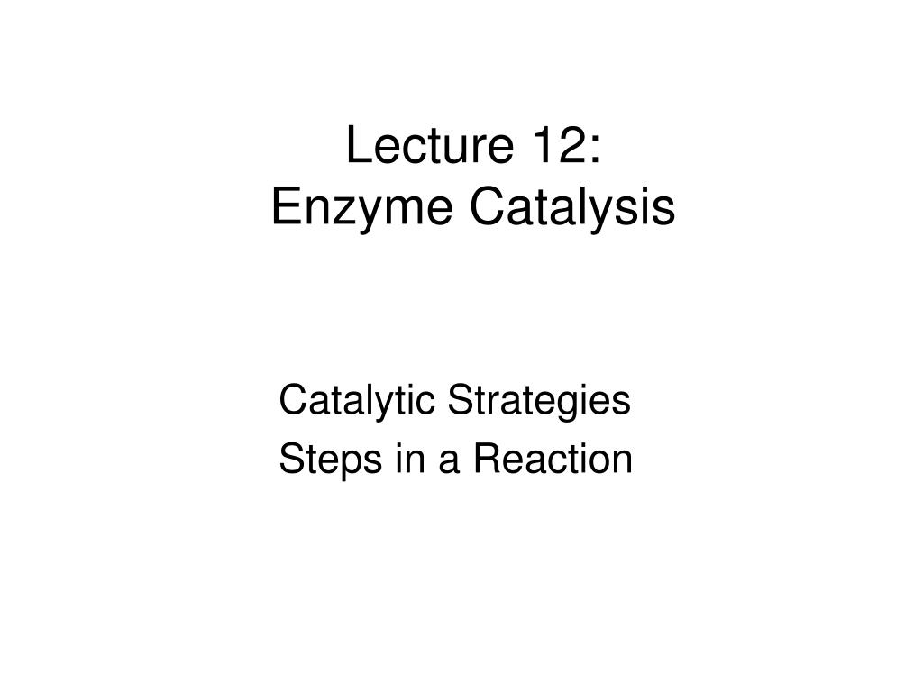 PPT - Lecture 12: Enzyme Catalysis PowerPoint Presentation, free ...