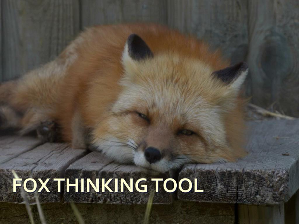 PPT - Fox Thinking Tool PowerPoint Presentation, free download - ID:275699