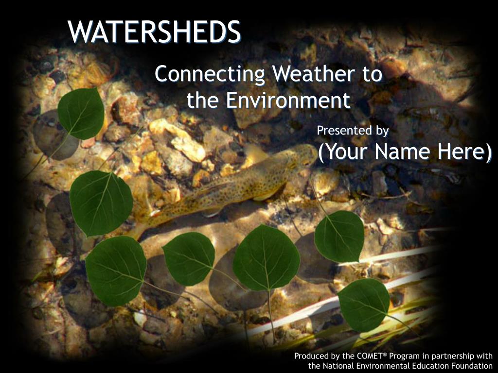 PPT - WATERSHEDS PowerPoint Presentation, free download - ID:276071