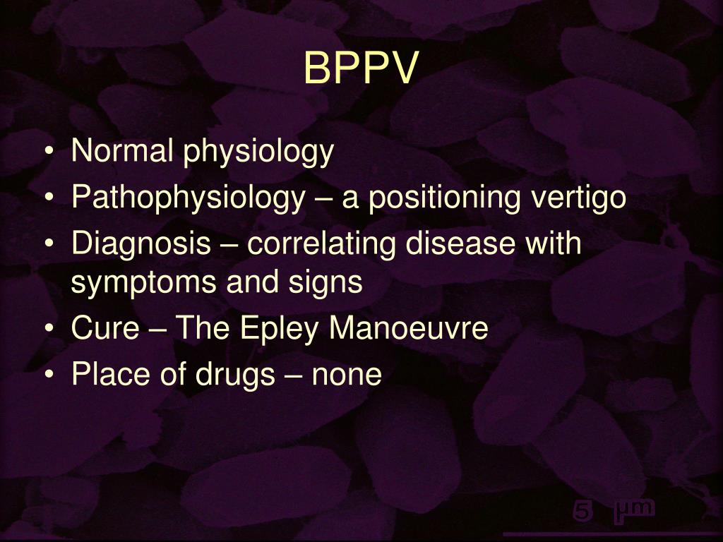 PPT - BPPV PowerPoint Presentation, free download - ID:276916
