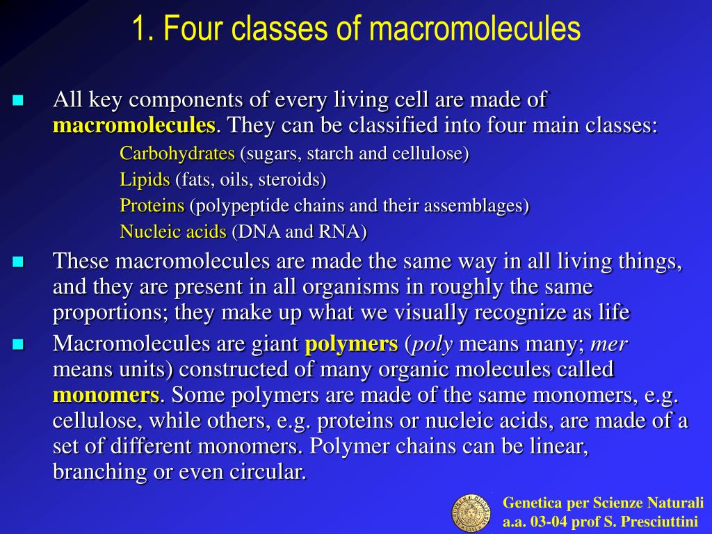 PPT - 1. Four classes of macromolecules PowerPoint Presentation, free ...