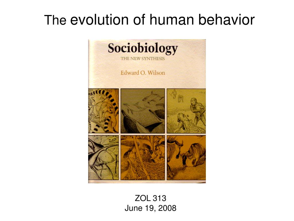 PPT - The evolution of human behavior PowerPoint Presentation, free ...