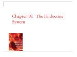 PPT - Multiple Endocrine Neoplasia MEN I/MEN II PowerPoint Presentation ...