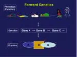 PPT - Splentec WORM 제품 소개서 PowerPoint Presentation, free download - ID ...
