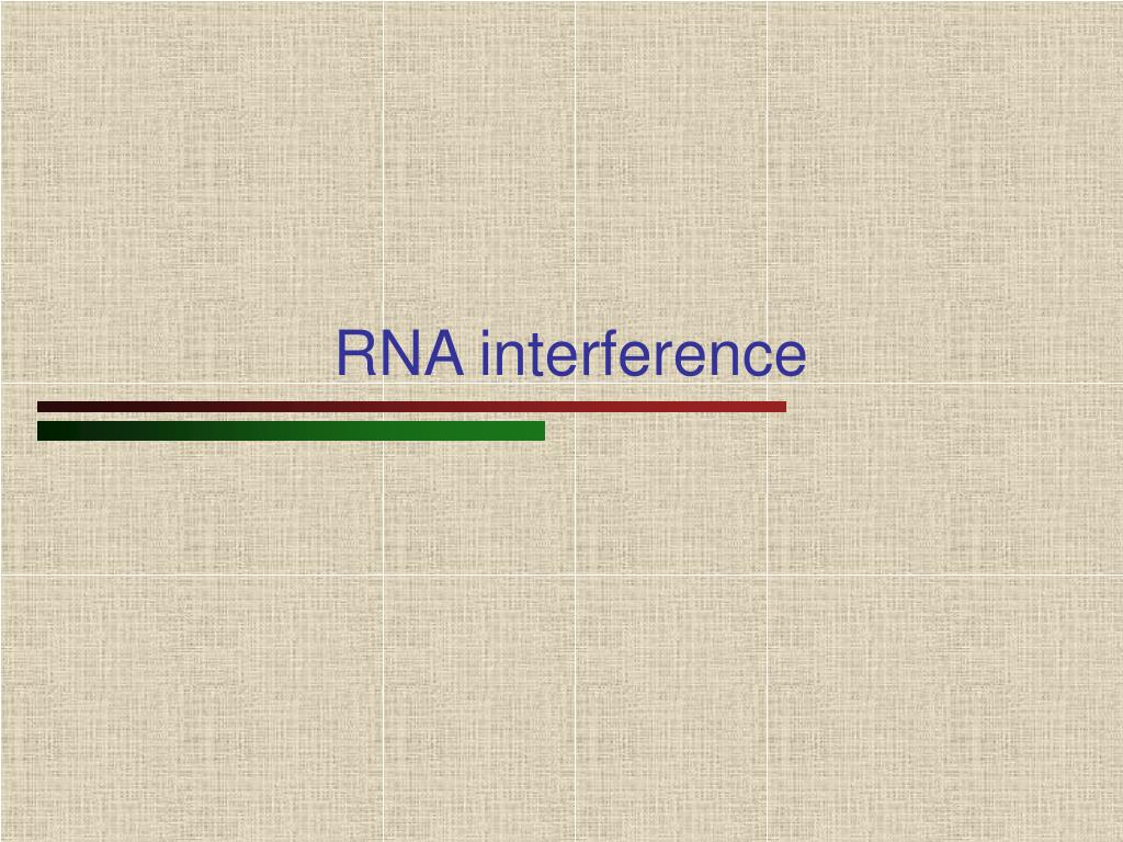 PPT - RNA interference PowerPoint Presentation, free download - ID:280801