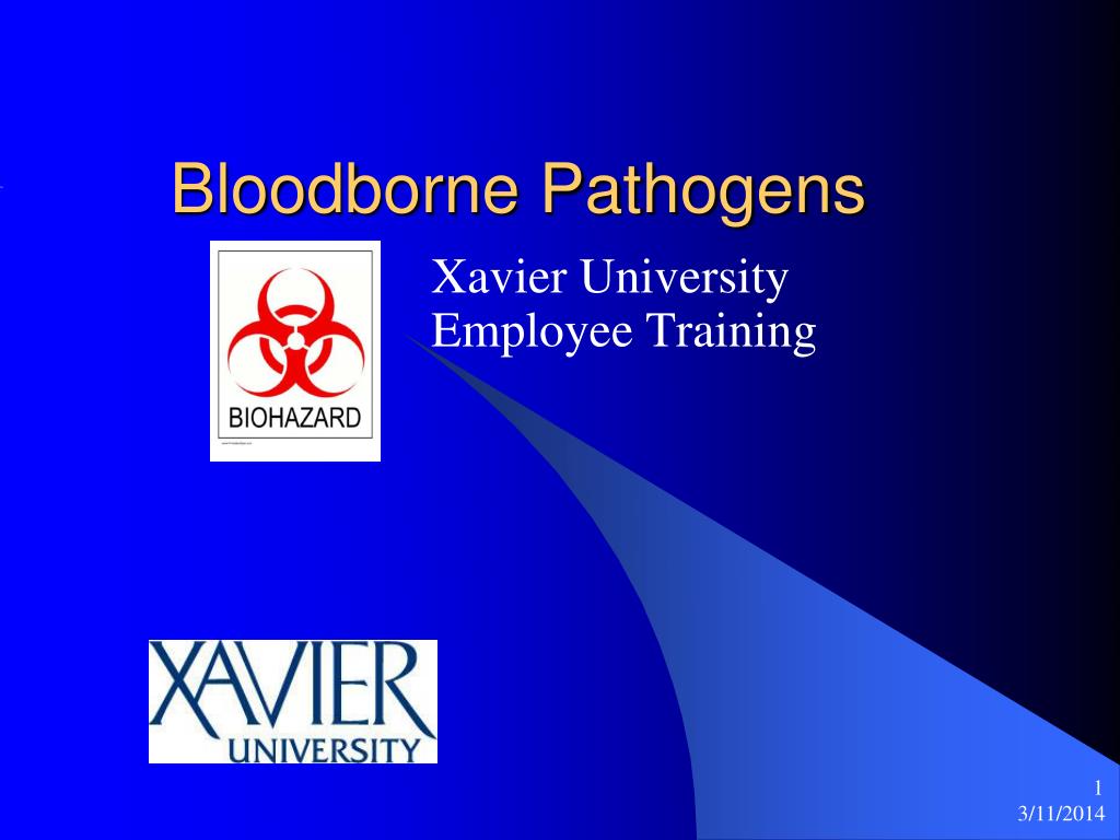 PPT - Bloodborne Pathogens PowerPoint Presentation, free download - ID ...