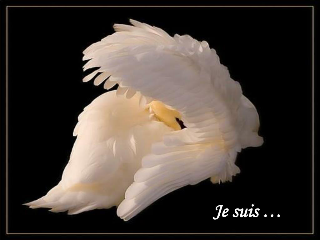 PPT - Je suis … PowerPoint Presentation, free download - ID:285587
