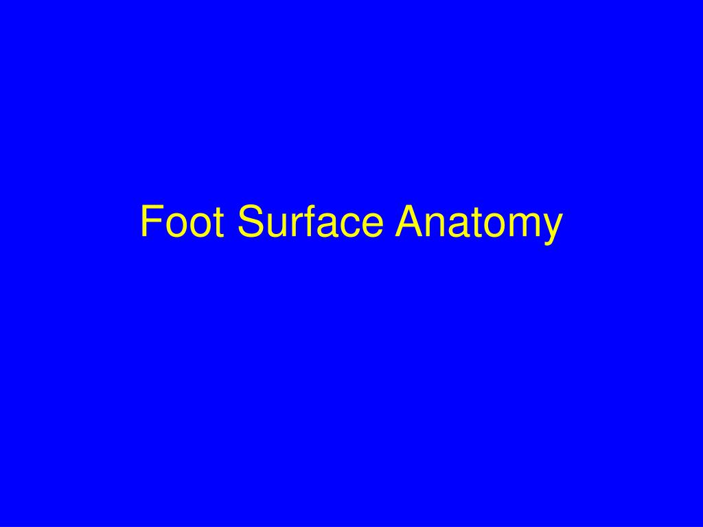 PPT - Foot Surface Anatomy PowerPoint Presentation, free download - ID ...