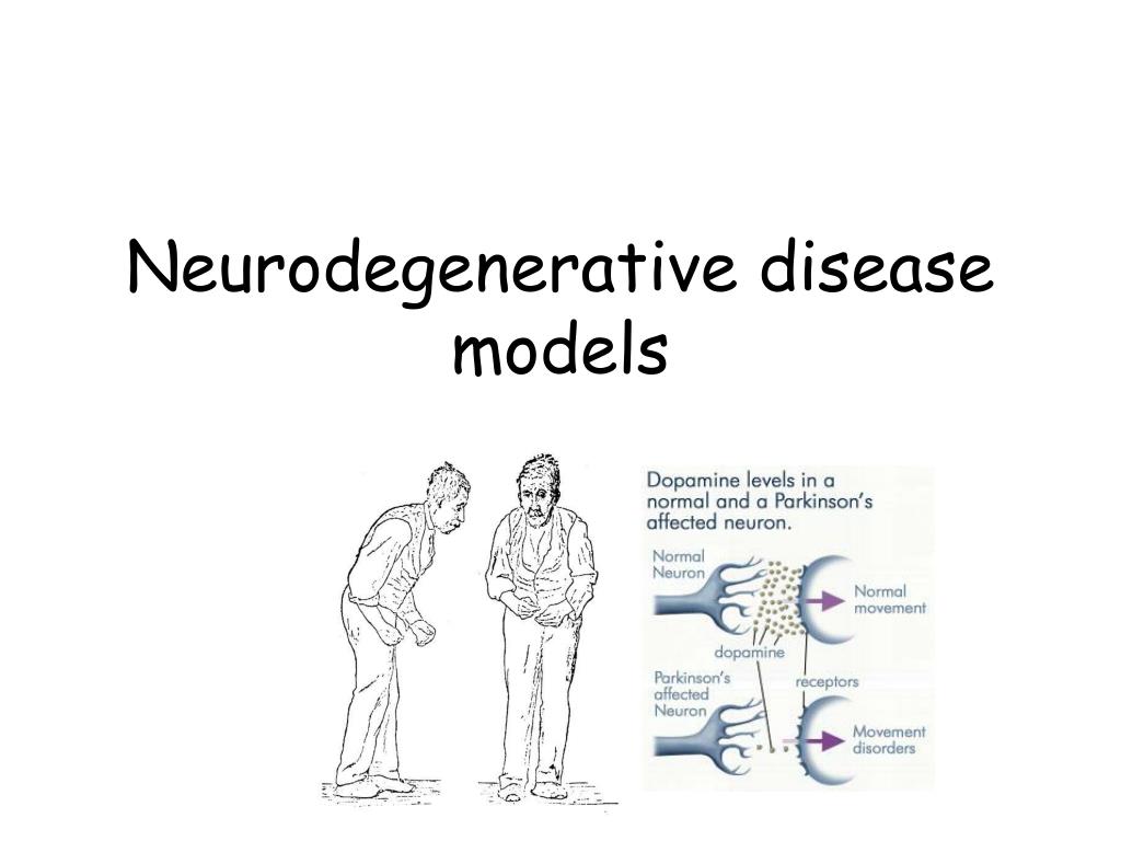 PPT - Neurodegenerative disease models PowerPoint Presentation, free ...