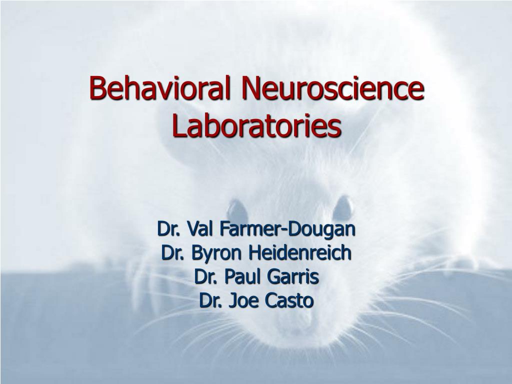 PPT - Behavioral Neuroscience Laboratories PowerPoint Presentation ...