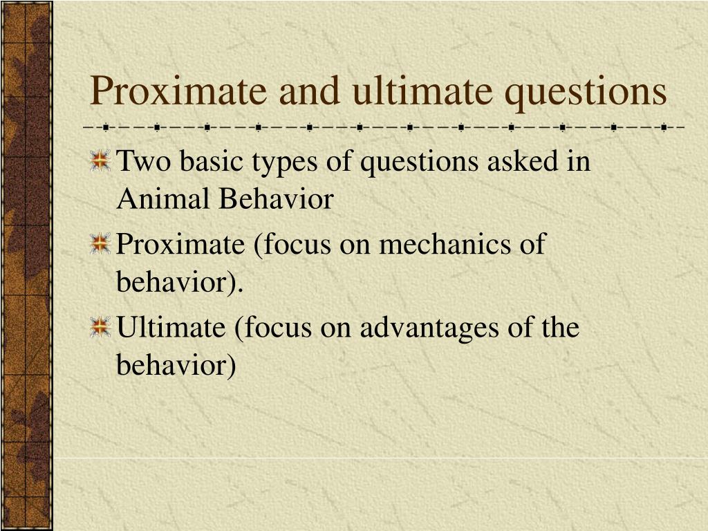 PPT - Proximate and ultimate questions PowerPoint Presentation, free ...