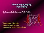 PPT - 근전도검사 (Electromyography:EMG) PowerPoint Presentation, free ...