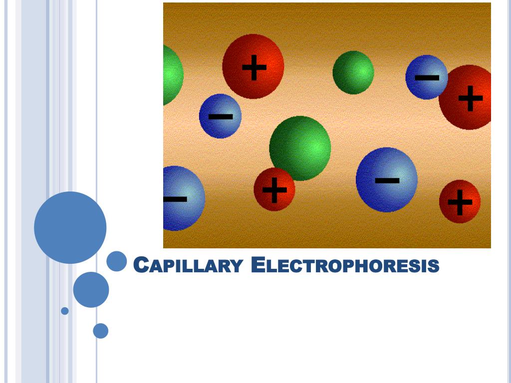 PPT - Capillary Electrophoresis PowerPoint Presentation, free download ...