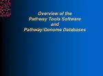 PPT - Advanced Editing of Pathway/Genome Databases PowerPoint ...