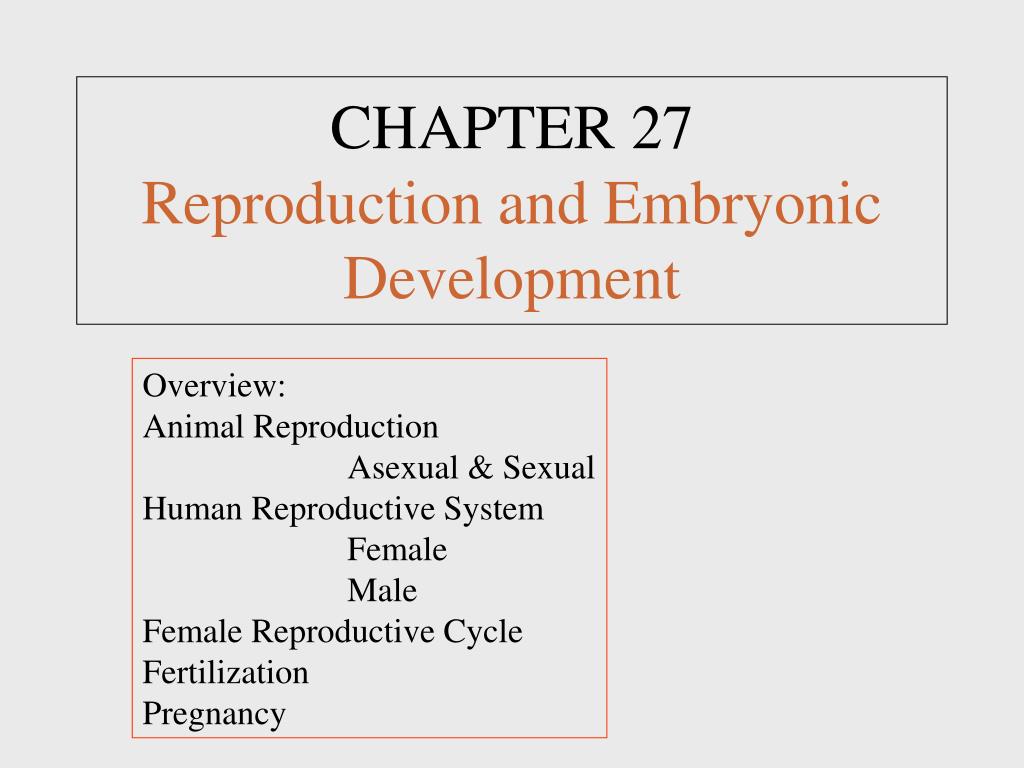 PPT - CHAPTER 27 Reproduction and Embryonic Development PowerPoint ...
