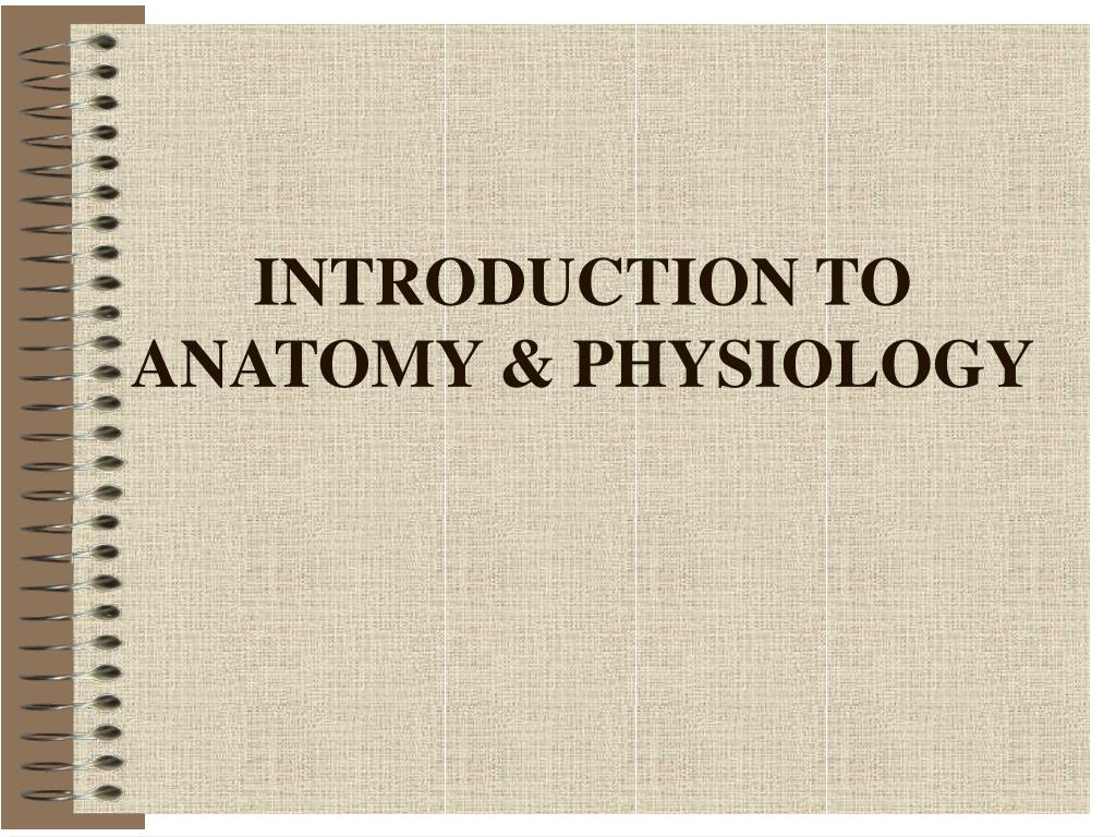 PPT - INTRODUCTION TO ANATOMY & PHYSIOLOGY PowerPoint Presentation - ID ...