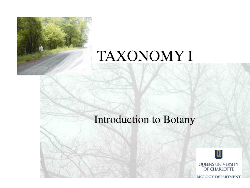PPT - TAXONOMY I PowerPoint Presentation, free download - ID:30045