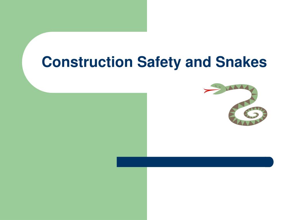 PPT - Construction Safety and Snakes PowerPoint Presentation, free ...