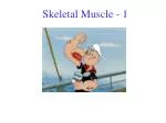 PPT - Skeletal Muscle: Structure and Function PowerPoint Presentation ...