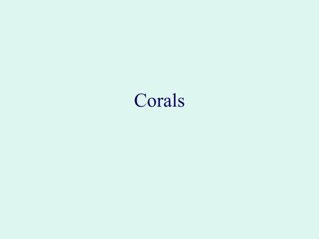 PPT - Corals PowerPoint Presentation, free download - ID:303074