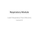 PPT - Respiratory: Respiratory Failure and ARDS PowerPoint Presentation ...