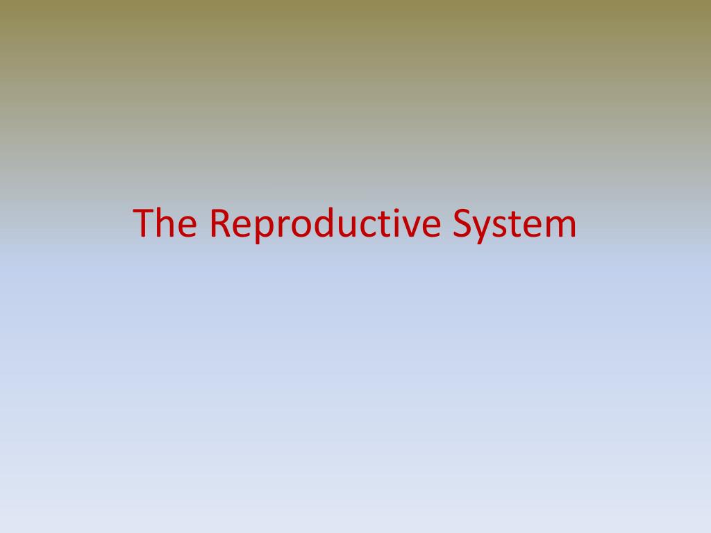 PPT - The Reproductive System PowerPoint Presentation, free download ...
