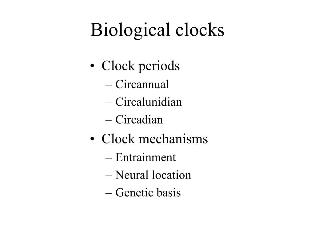 PPT - Biological clocks PowerPoint Presentation, free download - ID:306255