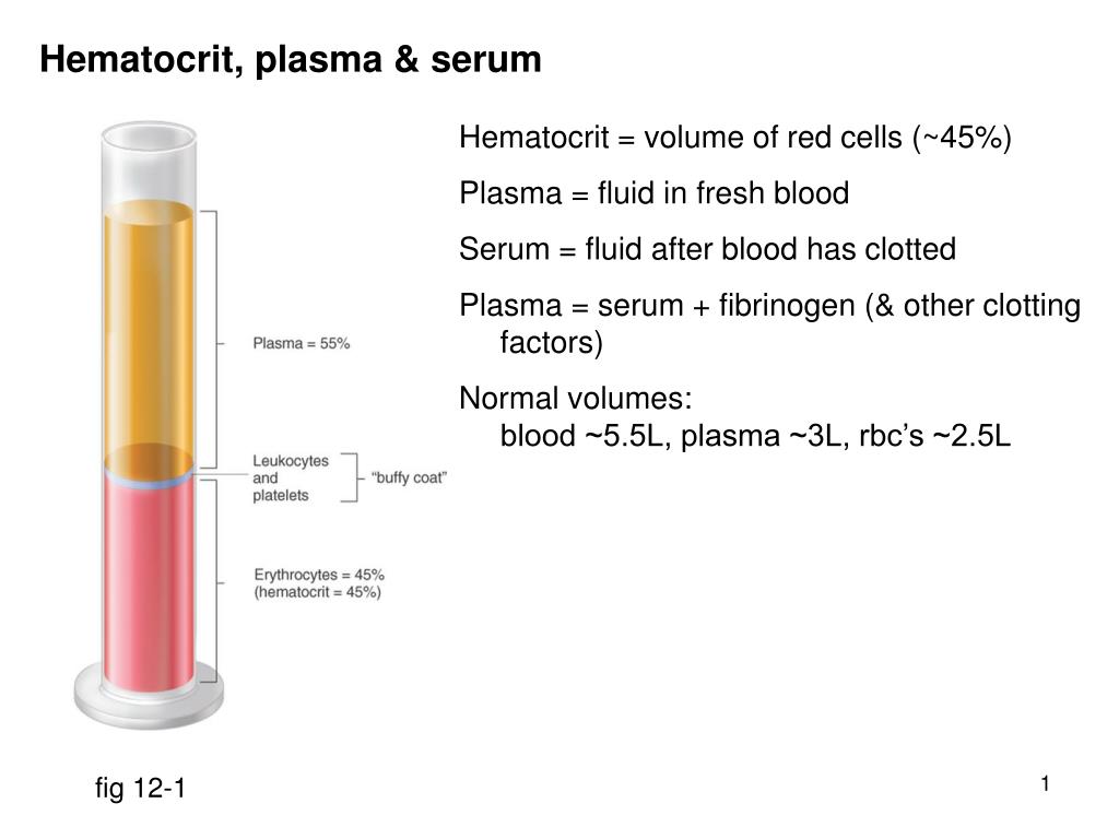 PPT - Hematocrit, plasma & serum PowerPoint Presentation, free download ...