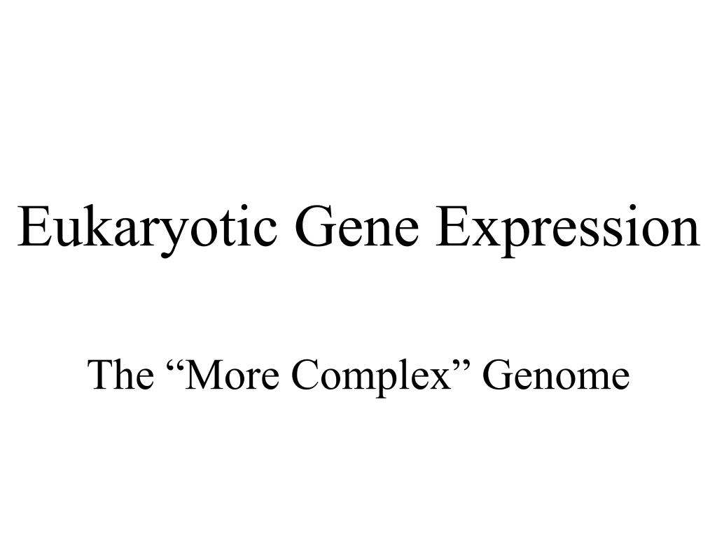 PPT - Eukaryotic Gene Expression PowerPoint Presentation, free download ...