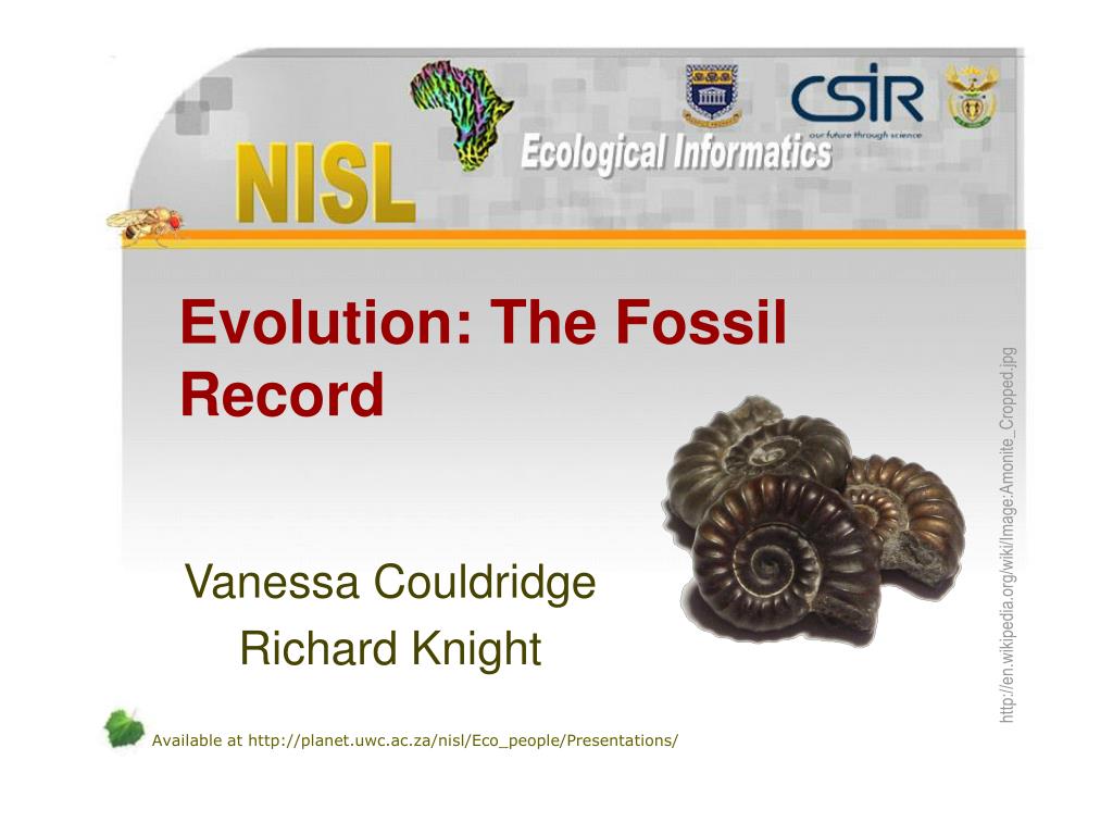 PPT - Evolution: The Fossil Record PowerPoint Presentation, free ...