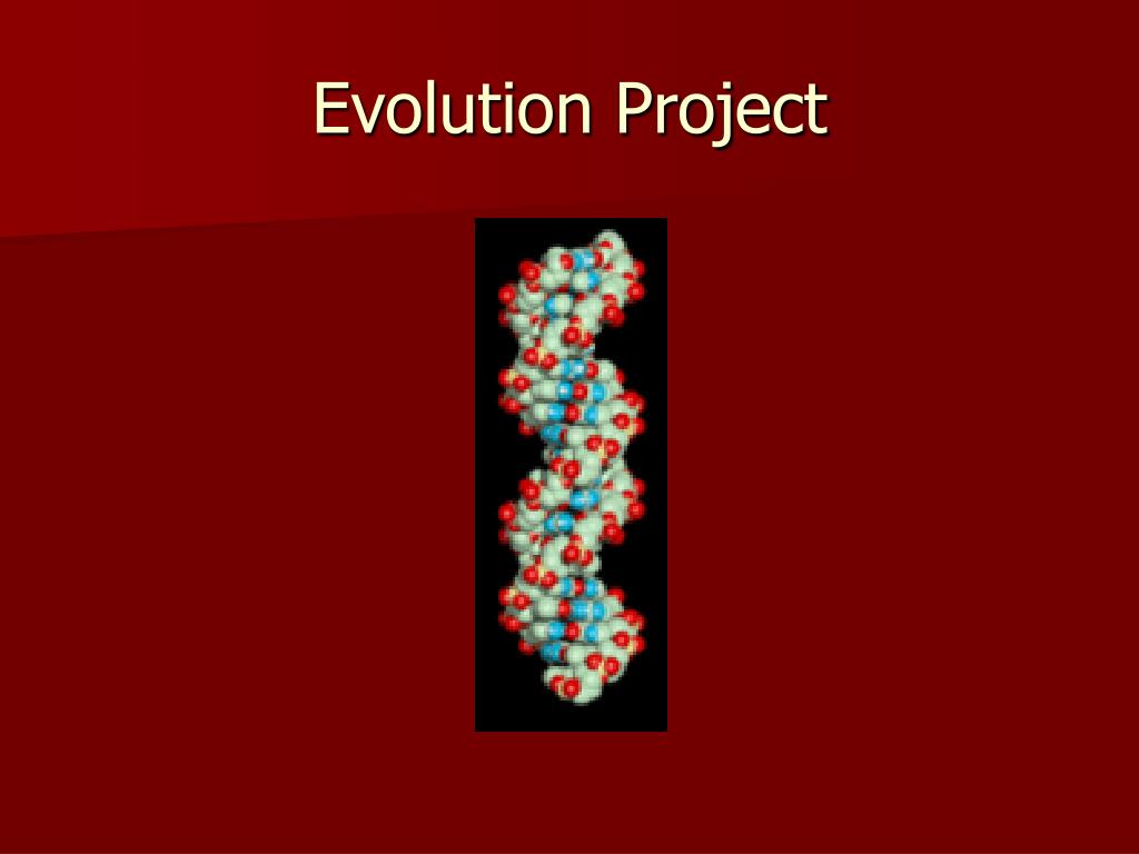 PPT - Evolution Project PowerPoint Presentation, free download - ID:312291