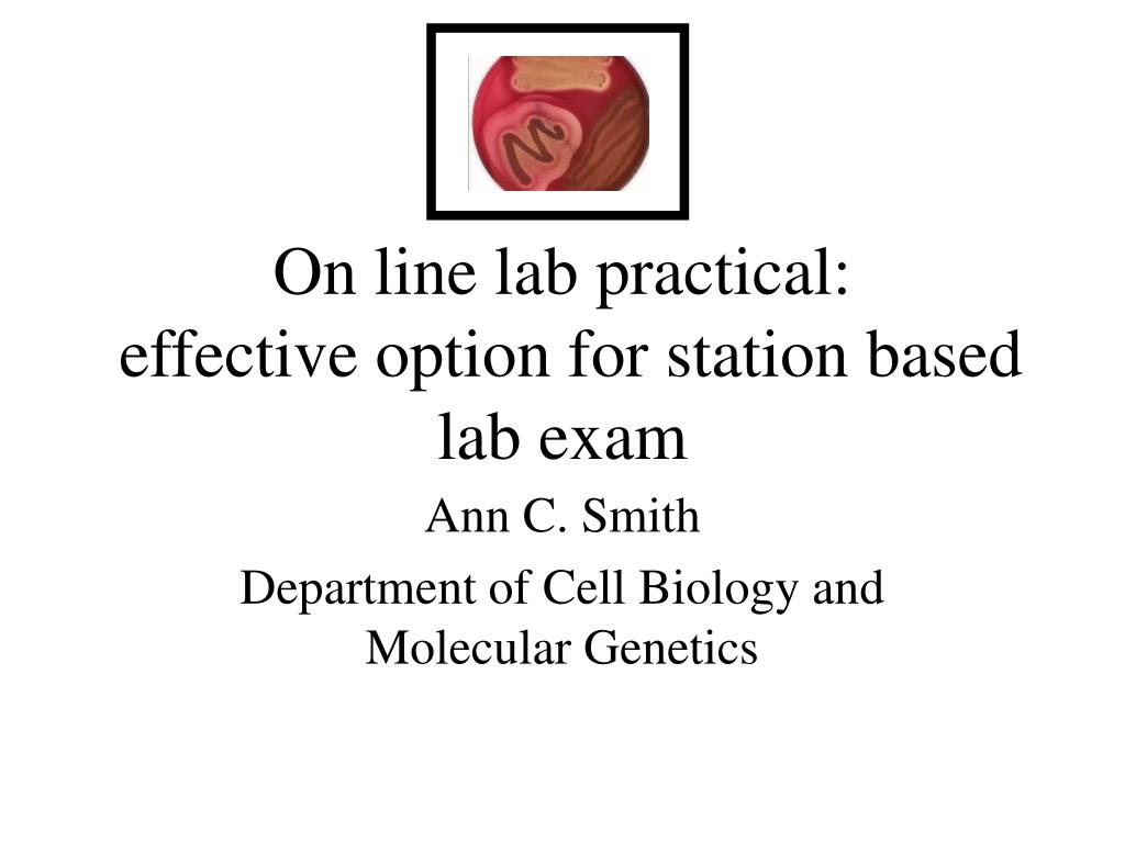PPT - On line lab practical: effective option for station based lab ...