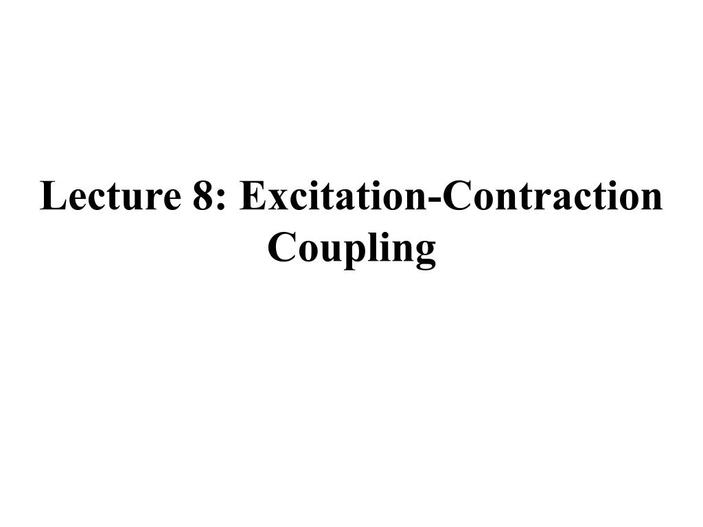 PPT - Lecture 8: Excitation-Contraction Coupling PowerPoint ...