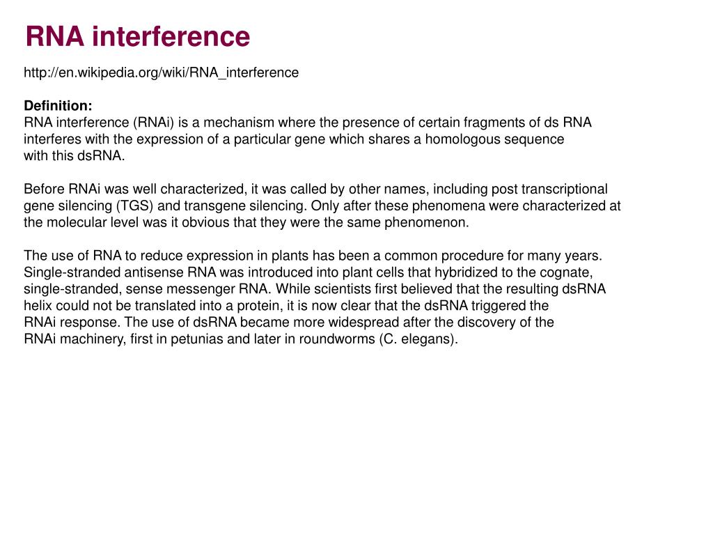 PPT - RNA interference PowerPoint Presentation, free download - ID:314739