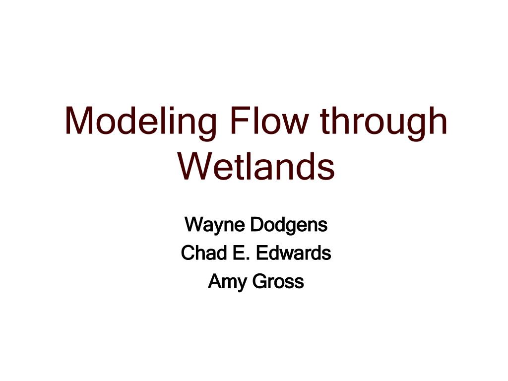 PPT - Modeling Flow through Wetlands PowerPoint Presentation, free ...