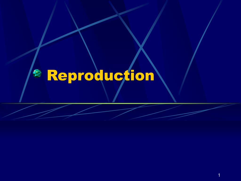 PPT - Reproduction PowerPoint Presentation, free download - ID:315912