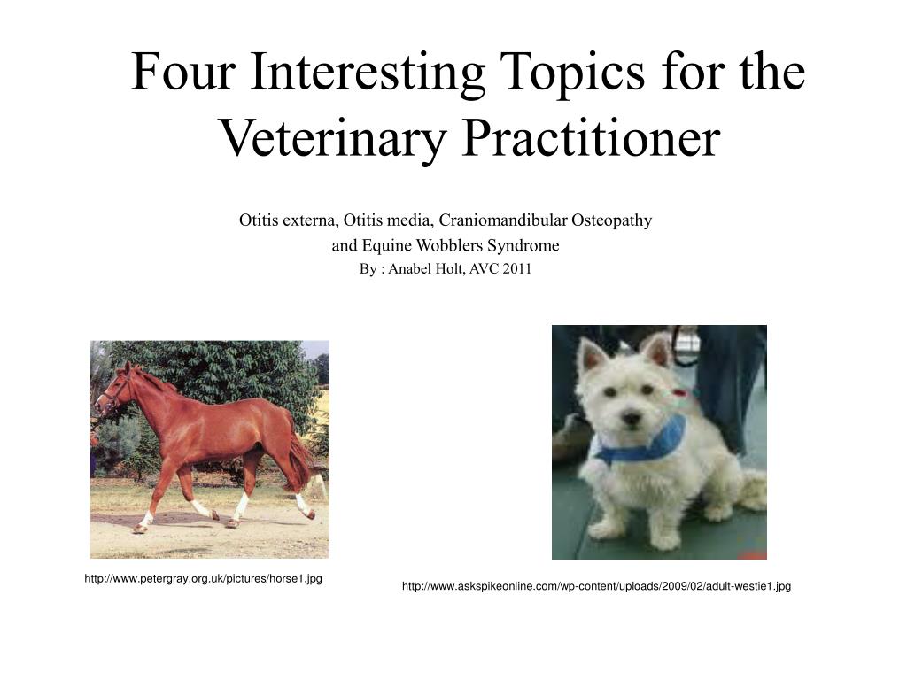 PPT - Four Interesting Topics for the Veterinary Practitioner ...